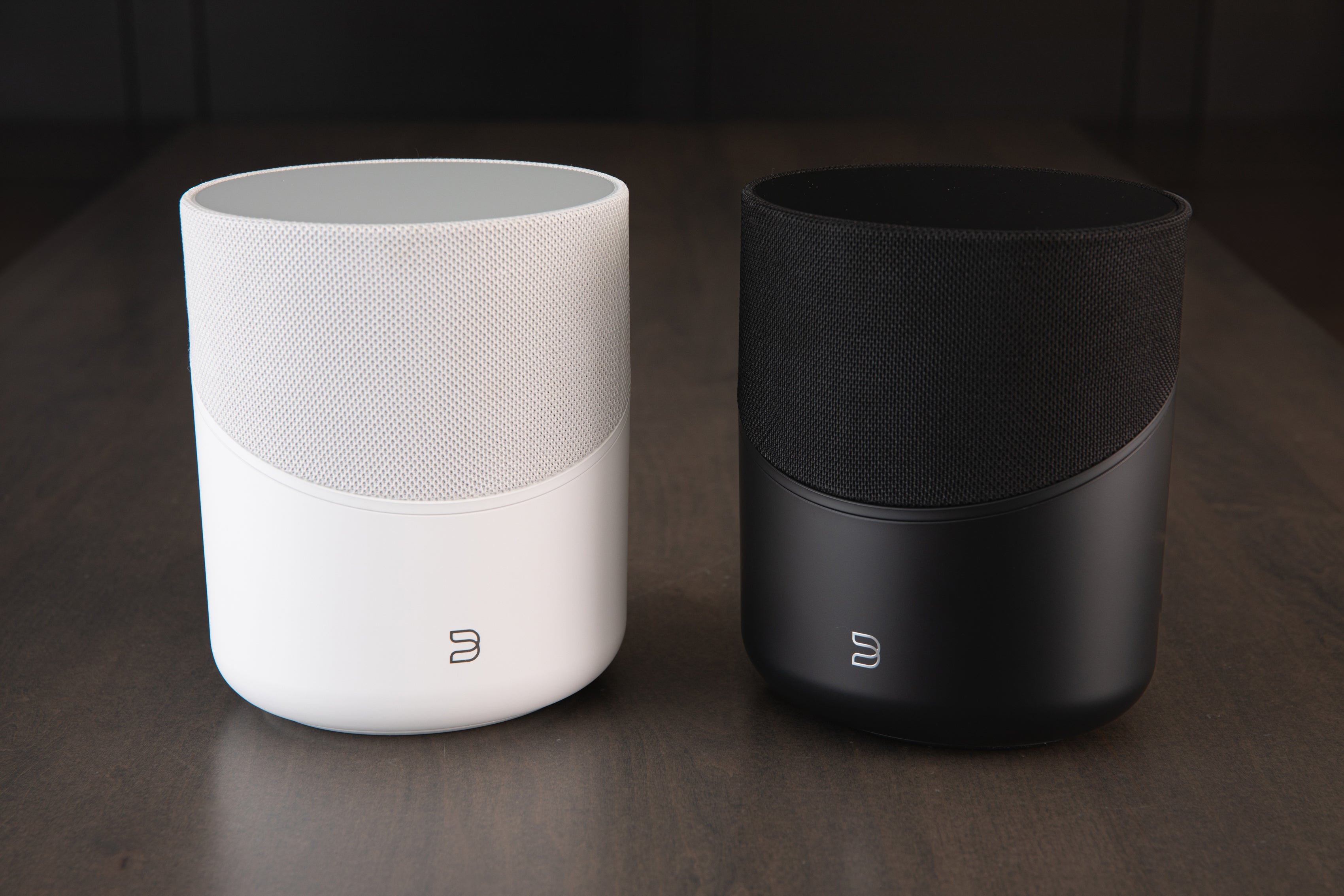 Bluesound PULSE M : Powerful Bluetooth Speaker with Hi-Res Audio ...